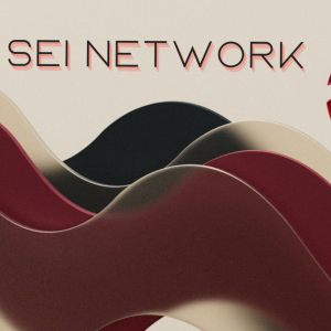 Delphi Digital详解Sei Network：专为DeFi而生的Layer1带来了哪些创新？ | PANews