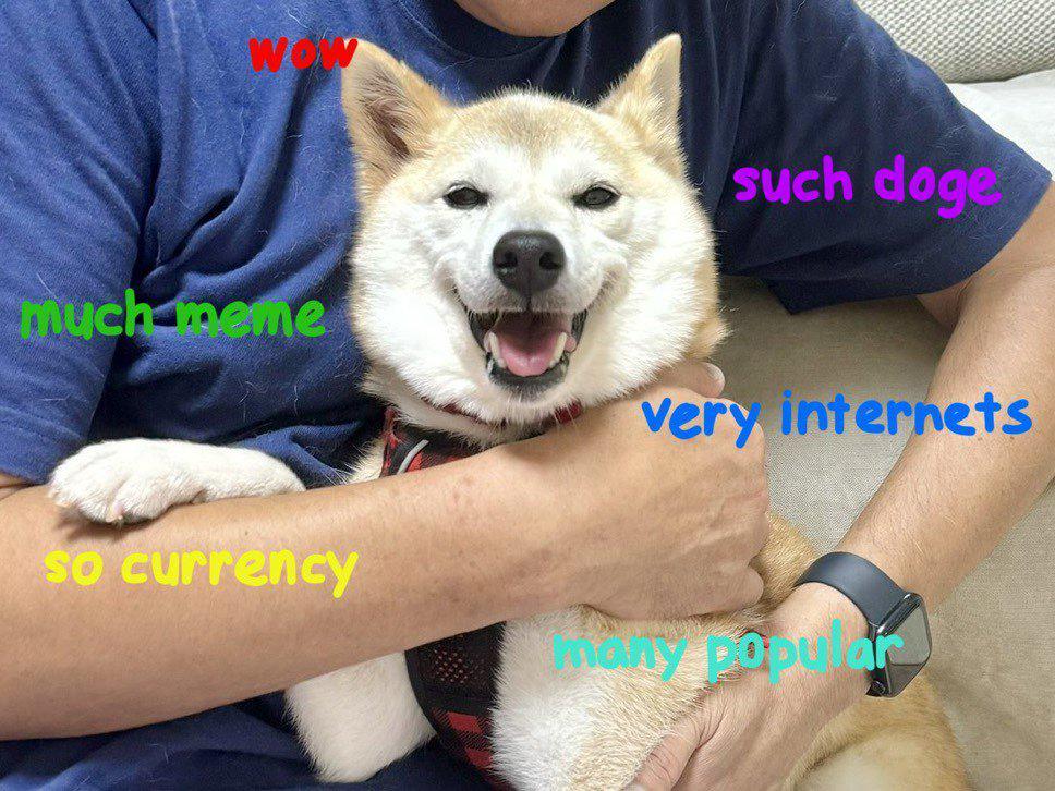 两天市值近五千万美元、带单大师Ansem入局助推，复盘狗狗新meme币Neiro的爆火之路 | PANews